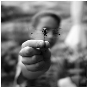 Kutin | SilenceAndSound